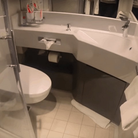 Cruise Ship Toilets: What Happens When You Flush? Step by Step Guide ...