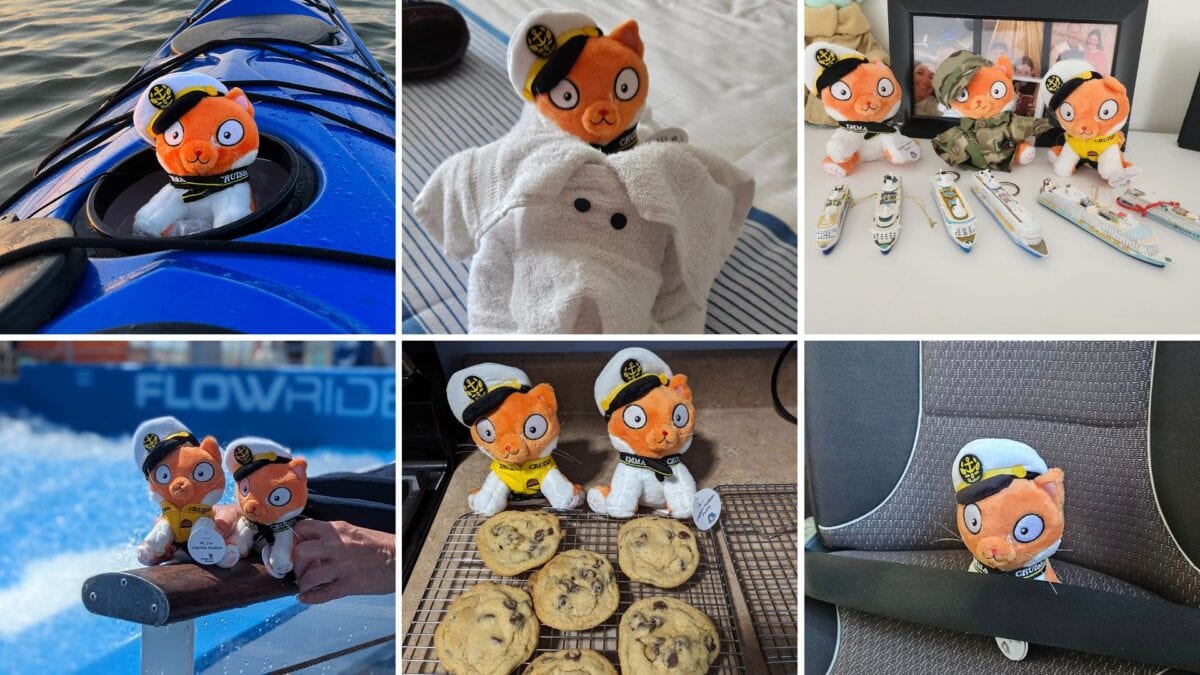 Emma Cruises Mascot Captain Hudson Has Raised Another £17,781 ($22k ...