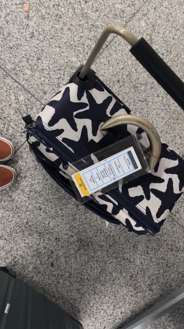 Cruise Luggage 101: Everything You Need to Know Before You Sail! - Emma ...